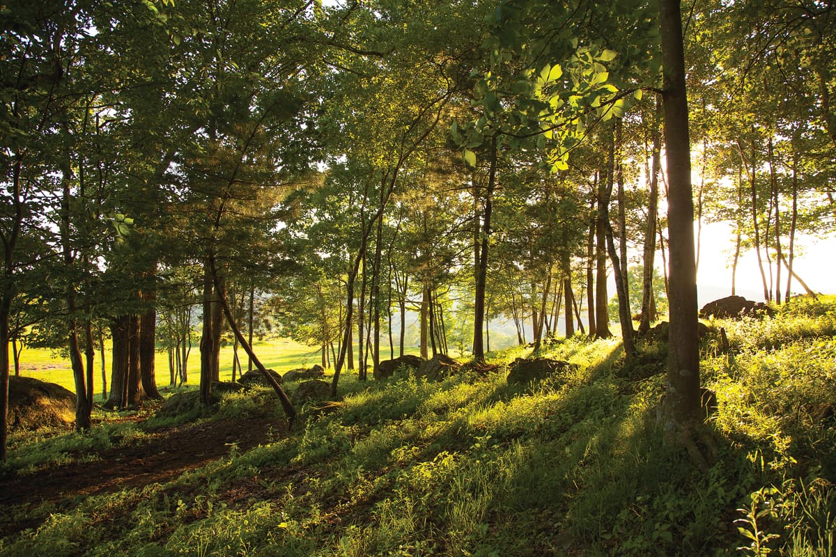 Why It’s Time to Choose Fewer, Better Things